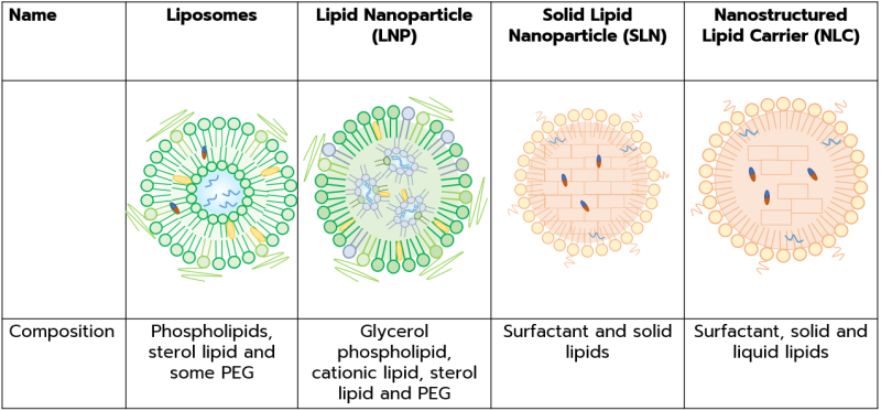 Lipid Formula