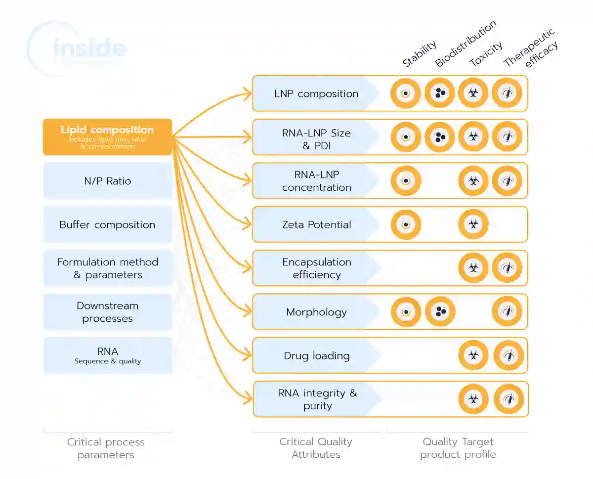 A guide to RNA-LNP formulation screening - Inside Therapeutics